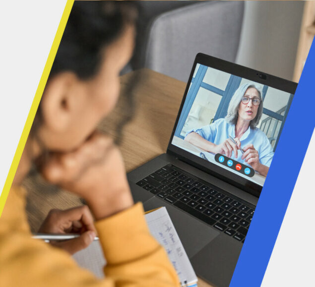 Low Visons & Blindness Remote Training Services